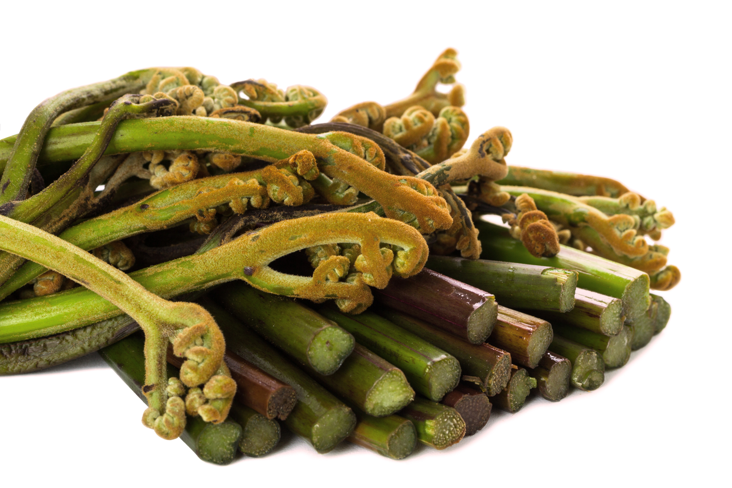 Warabi - Made in Japan