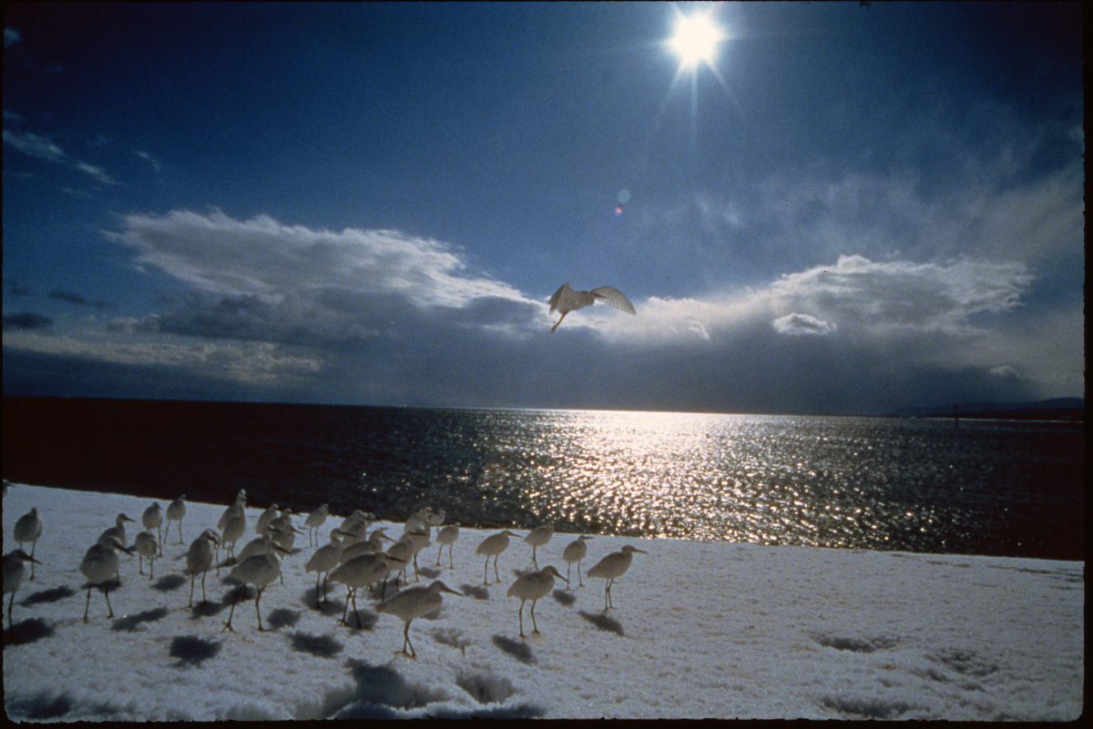 Palestra: Shiga, Update Cultural Dentro do Design - Made in Japan